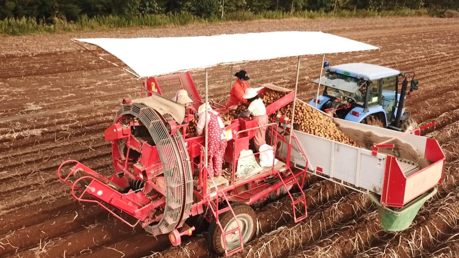 とかちアグリワーク | 農業労働力産地間連携等推進事業