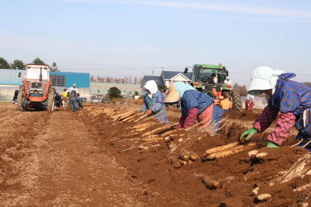 とかちアグリワーク | 農業労働力産地間連携等推進事業